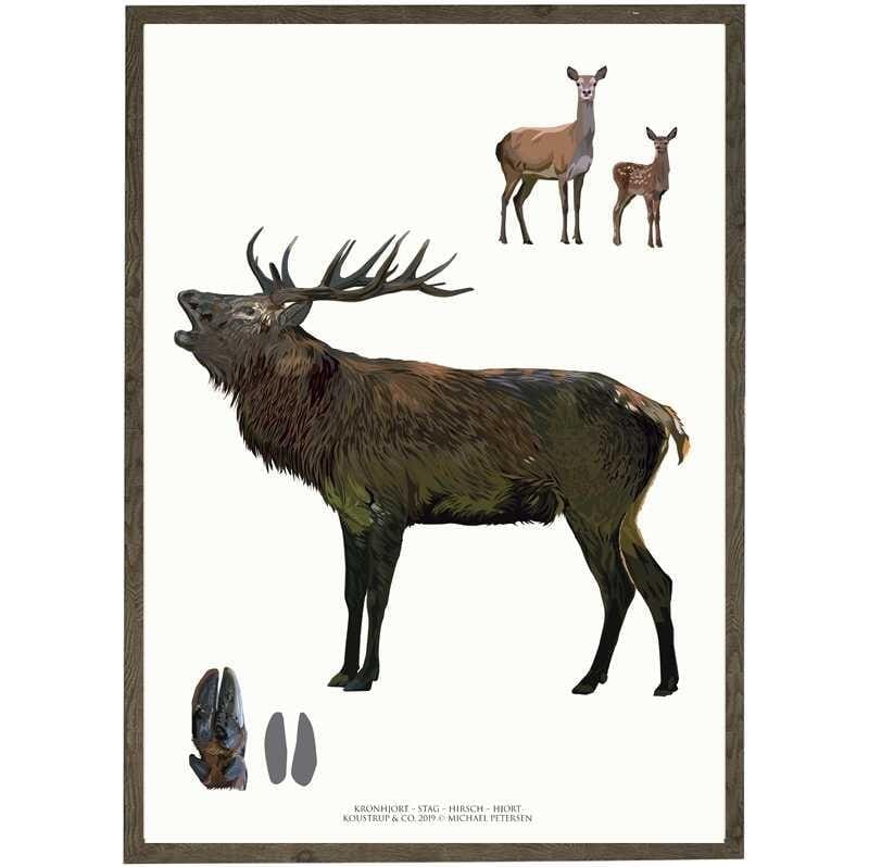 Art Print Red Deer A4 - Moose Land